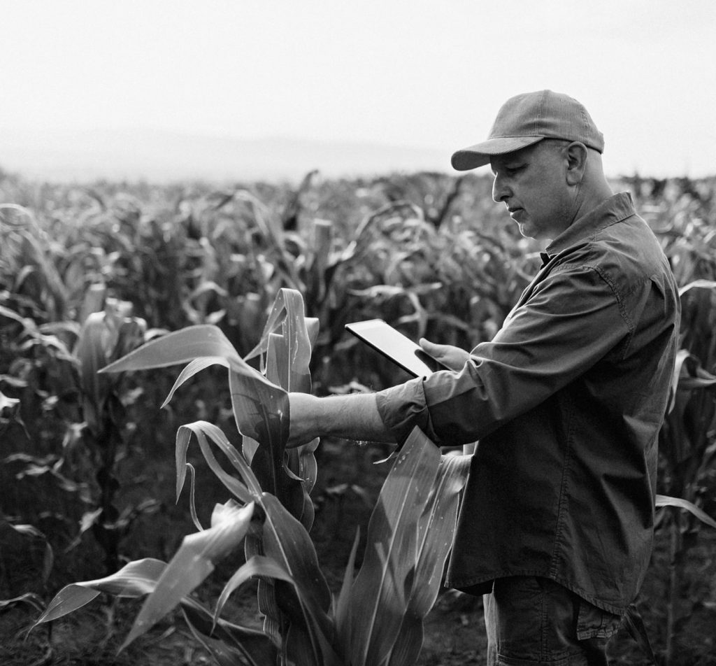 About Brennan IT: Our Company and Mission